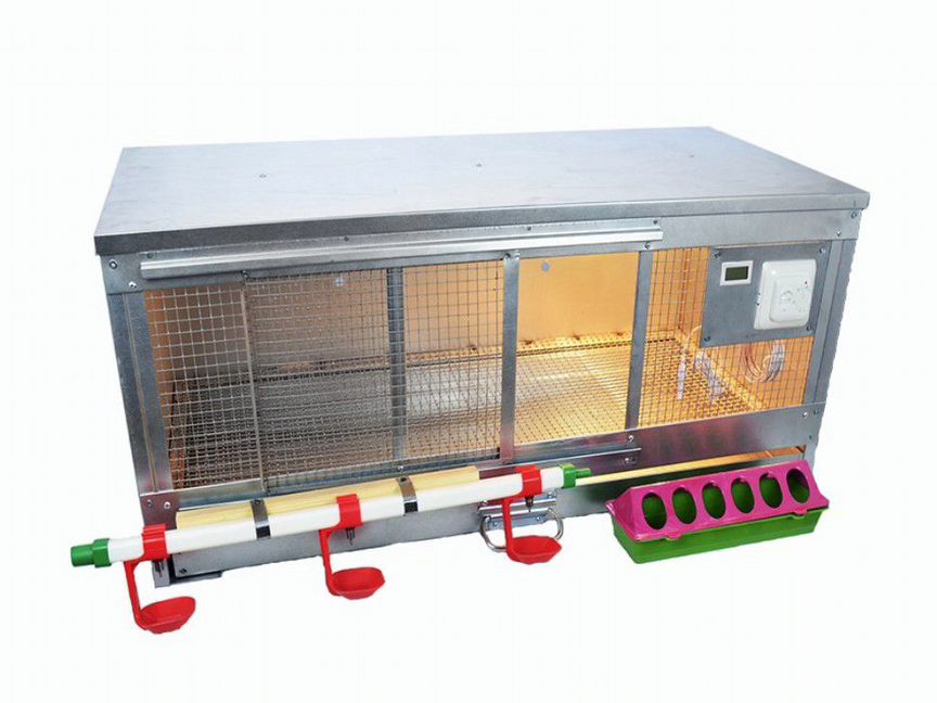 Брудер для цыплят «профи»