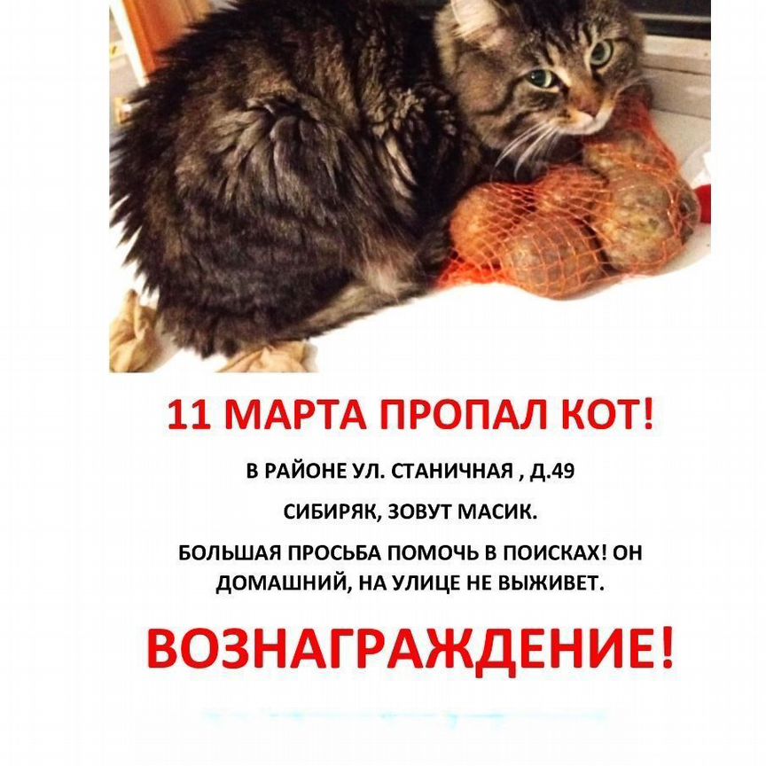 В добрые руки