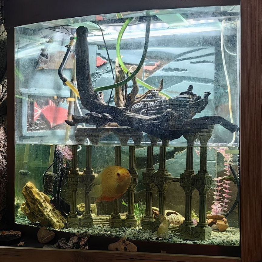 Аквариум 280 литров панорамный