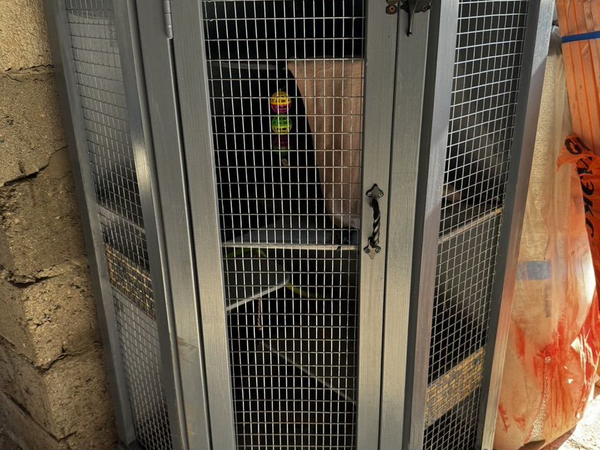 Клетка для грызунов большая