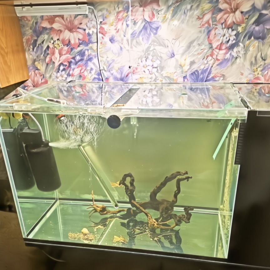 Аквариум со встроенным самом,260 л