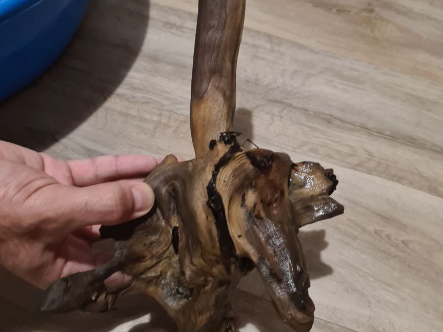 Коряги для аквариума и растения