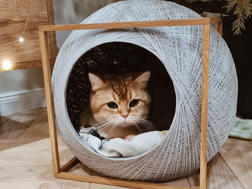 Домик для кошек и собак котмосфра