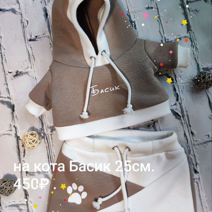 Одежда для кота Басик