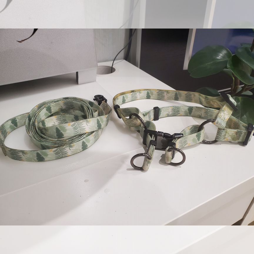 Шлейка и поводок из биотана