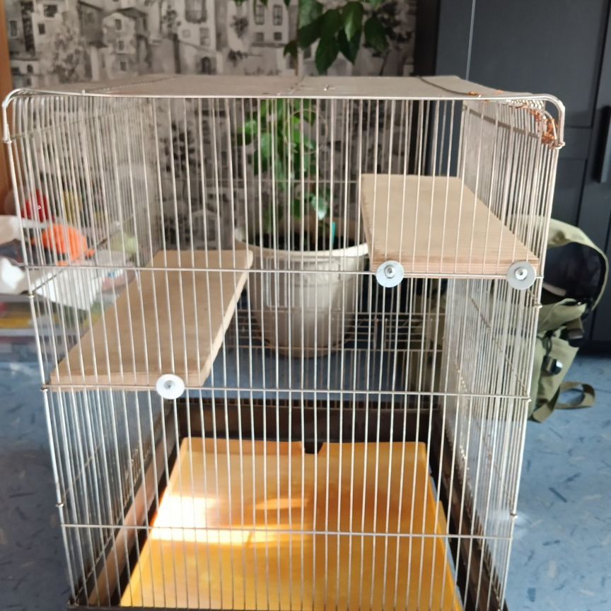 Клетка для шиншиллы, попугая бесплатно