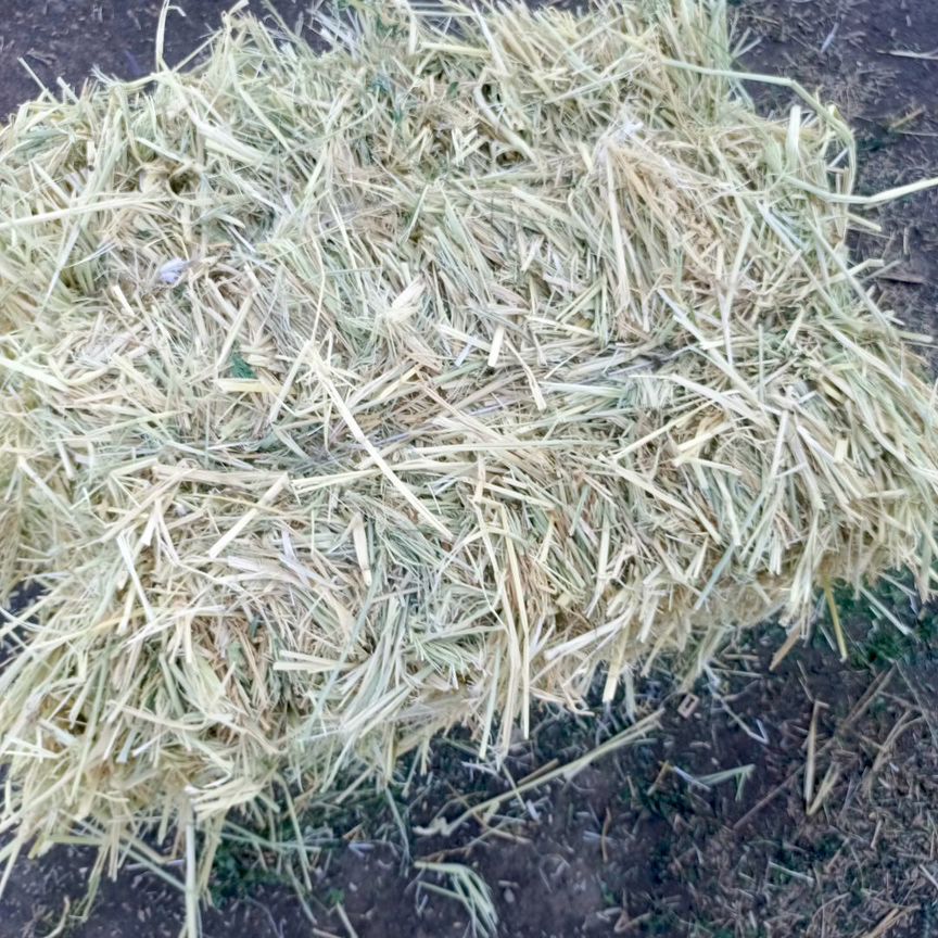 Рисовая солома