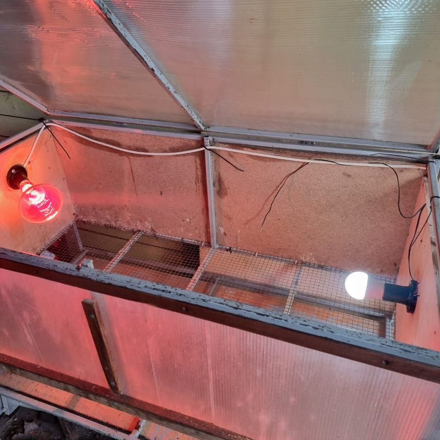 Брудер для цыплят бу