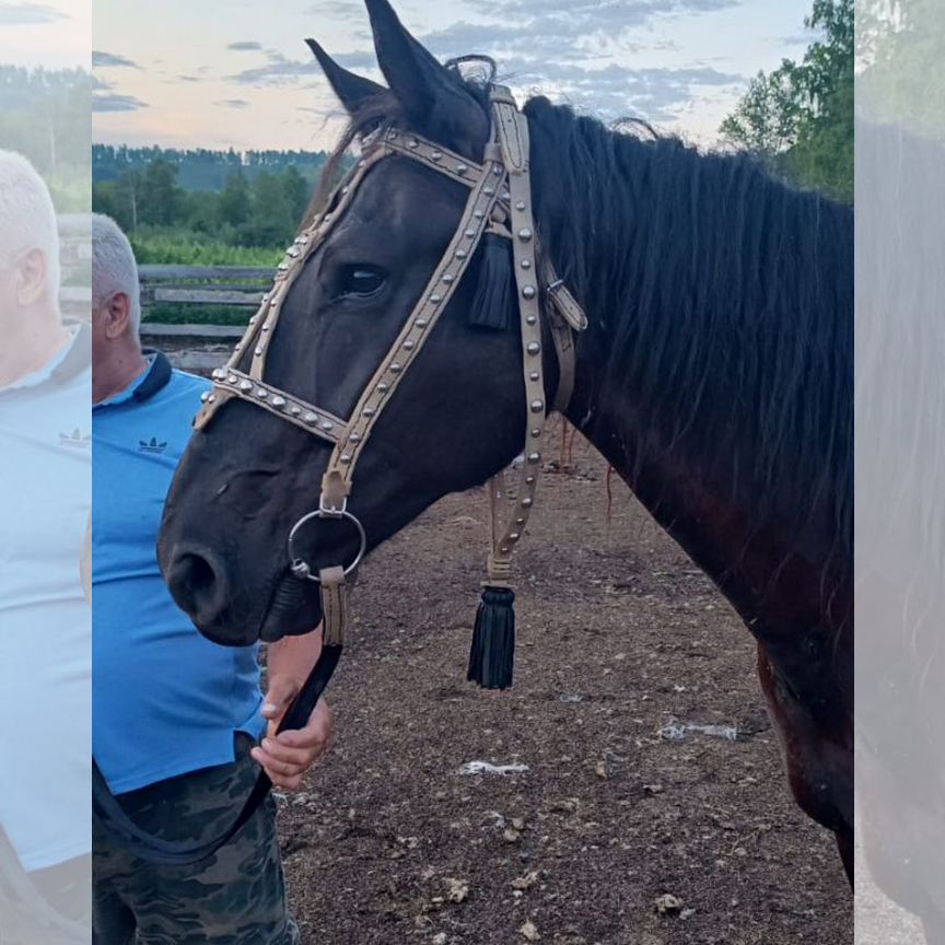 Продается уздечка ручной работы