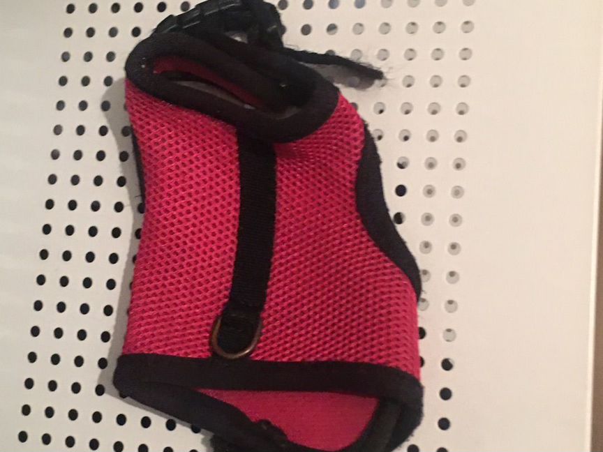 Шлейка для хорька