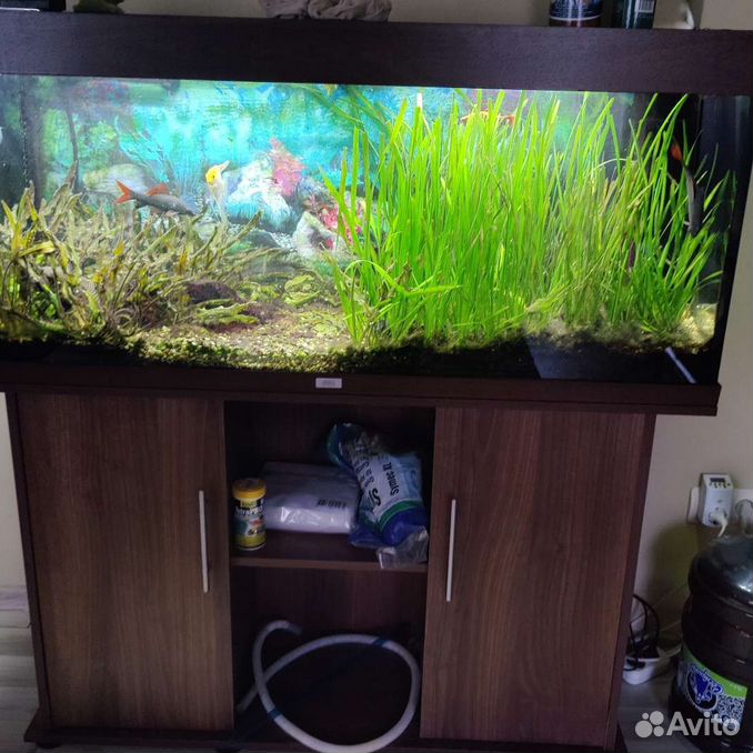 Аквариум Juwel Rio 240 с тумбой и оборудованием