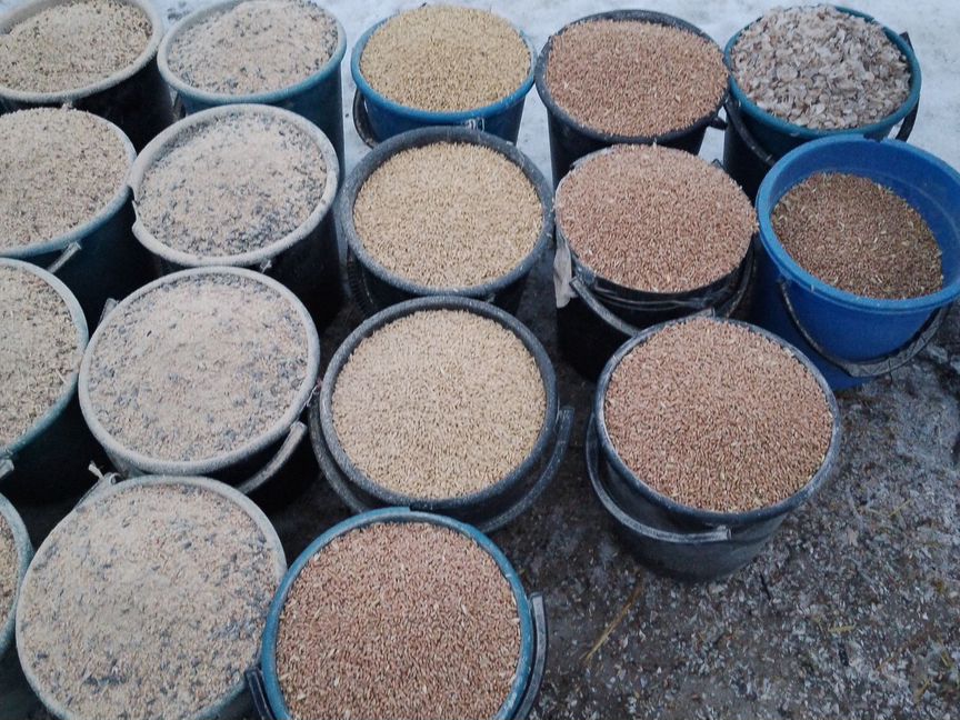 Корма для сельскохозяйственных животных