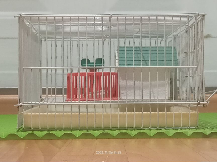 Клетка для джунгарских хомяков