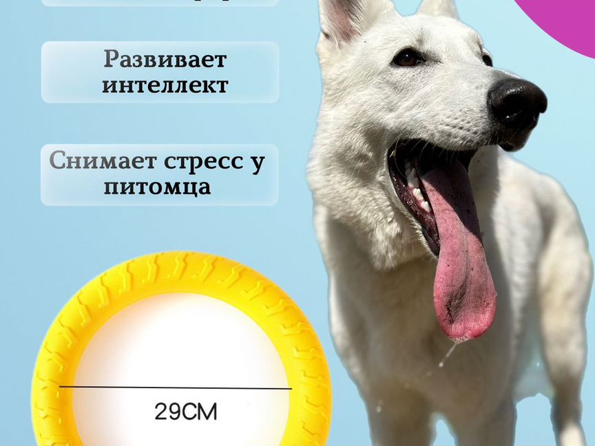 Игрушки для собак