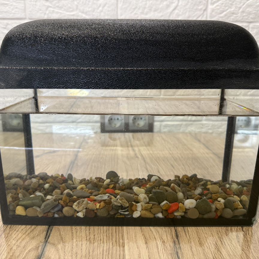 Аквариум с рыбками