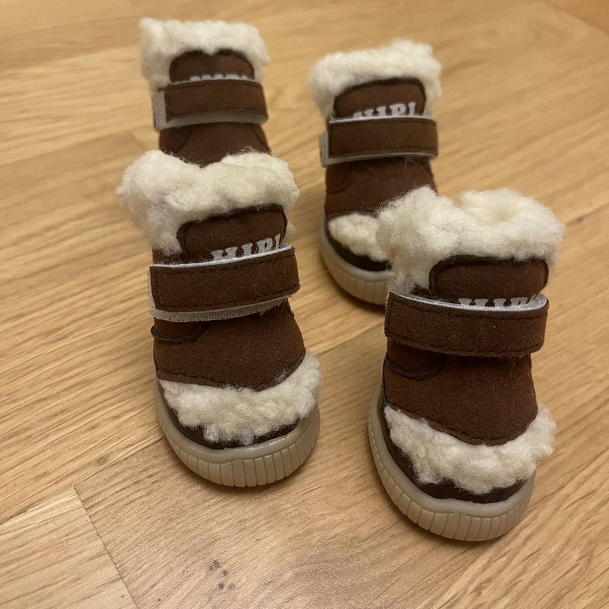 Угги обувь для собак