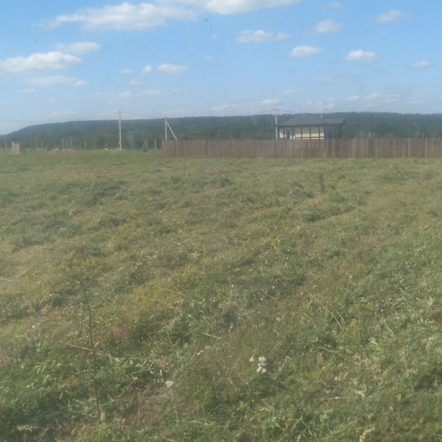 Сено урожай 2025г