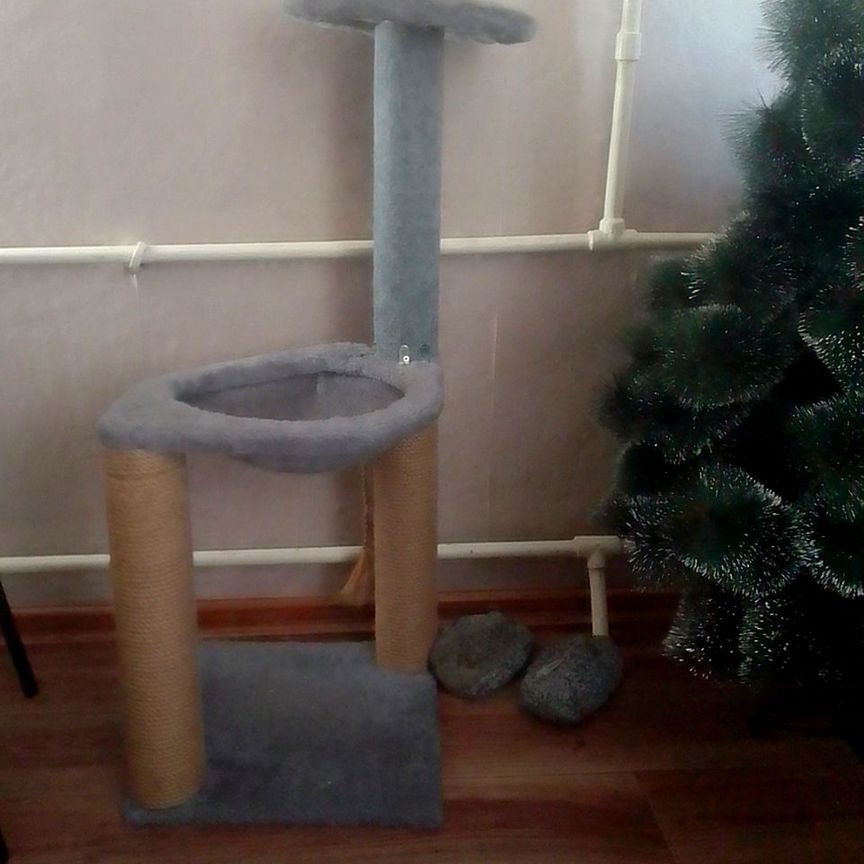 Когтеточка