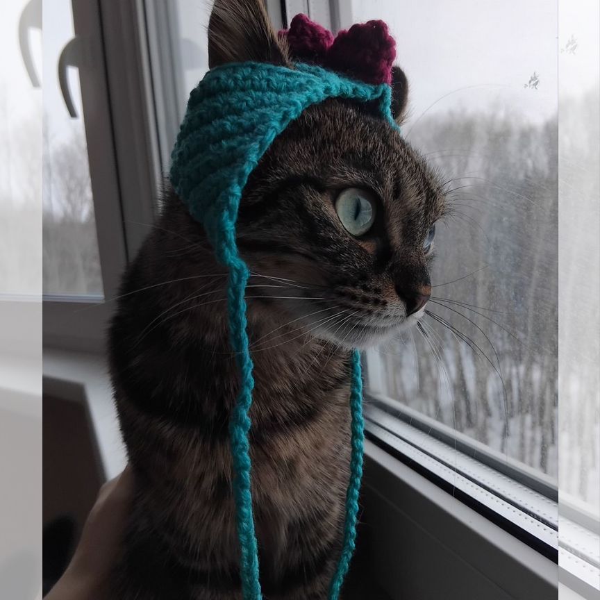 Шапочка 'динозавр' на кошку/собаку