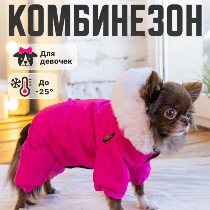 Одежда для маленьких собак