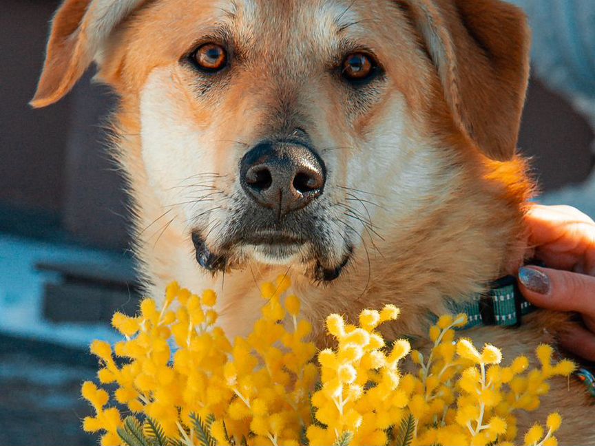 Истон - сама серьезность