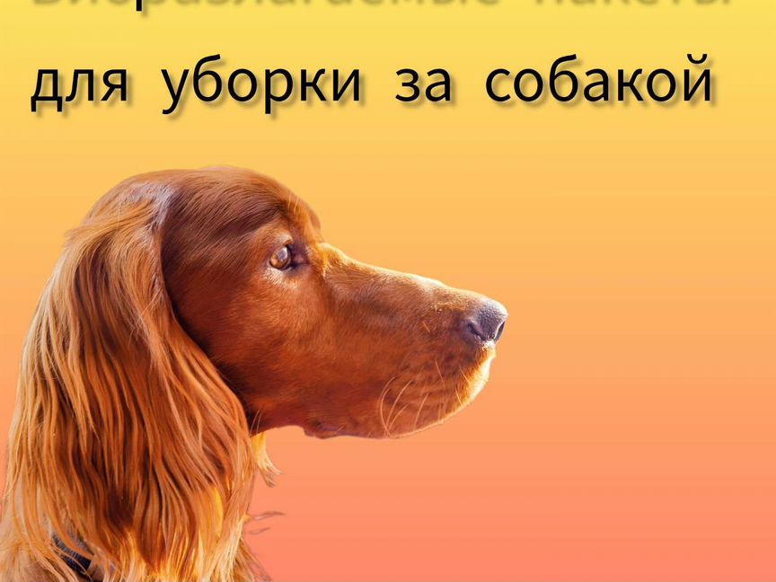 Биоразлагаемые пакеты для уборки за собакой