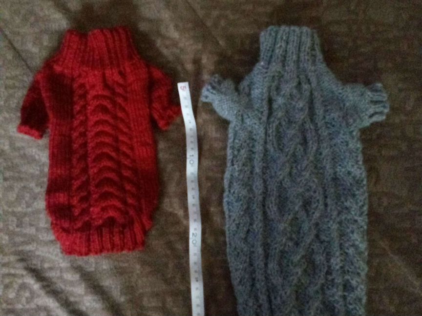 Одежда для собак