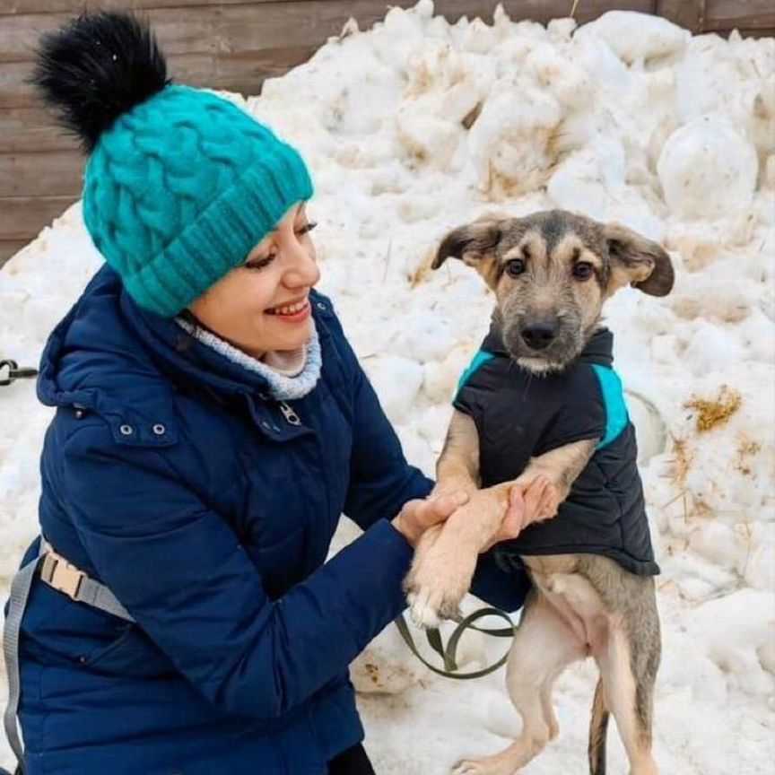 Малышка-щенок Искра из приюта замерзает,ищет дом