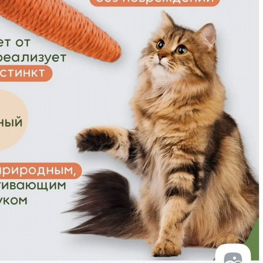Игрушка-когтеточка в форме морковки