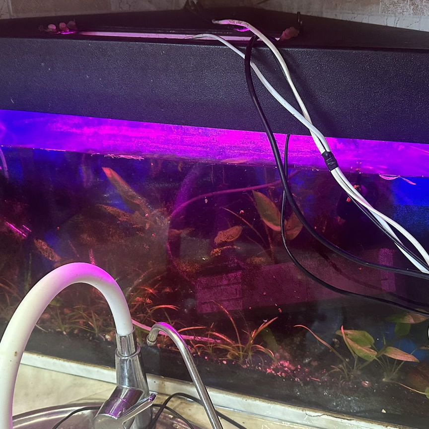 Аквариум с крышкой и оборудованием