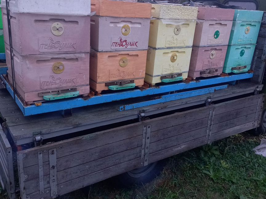 Платформа для перевозки пчел