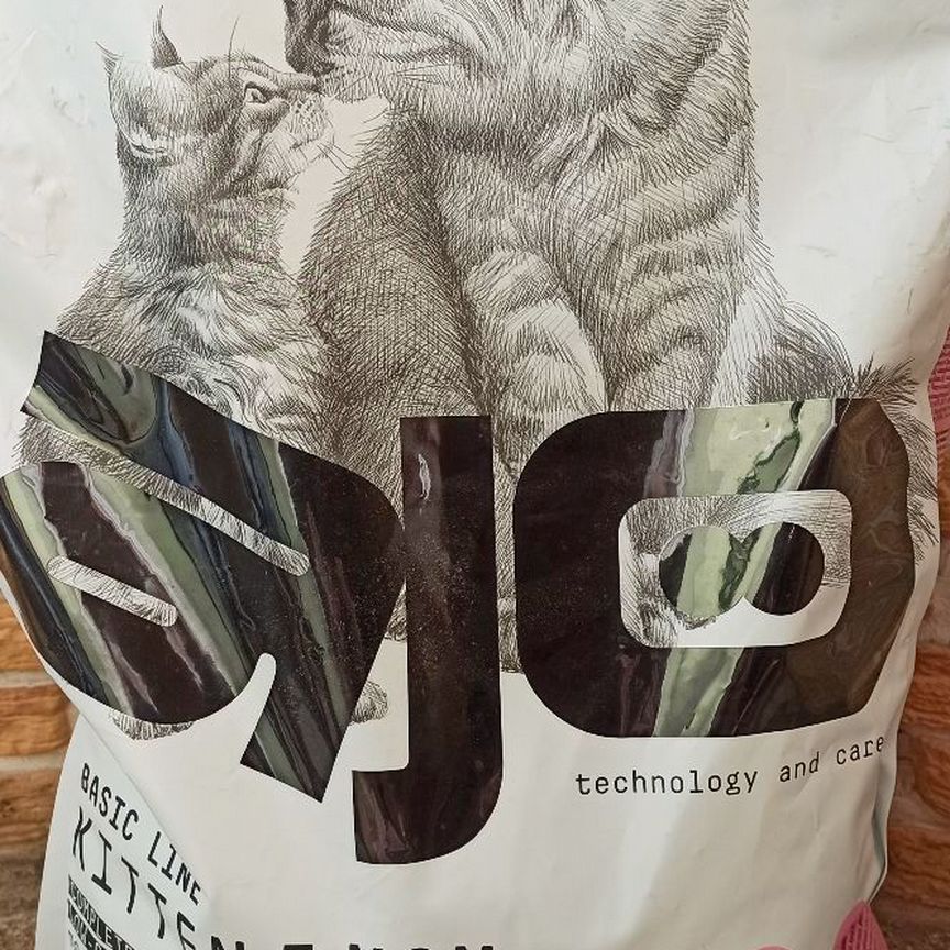 AJO Basic Line Kitten and Mom