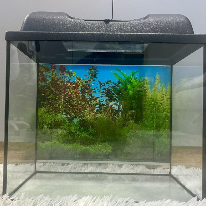 Аквариум 35 литров