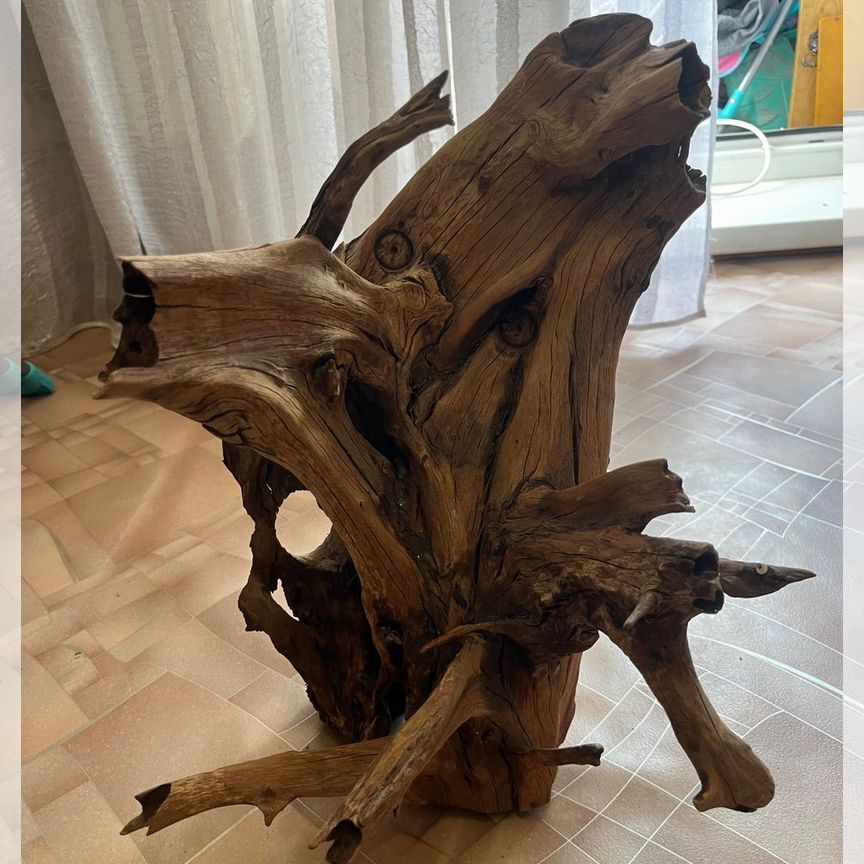 Мангровое дерево для аквариума