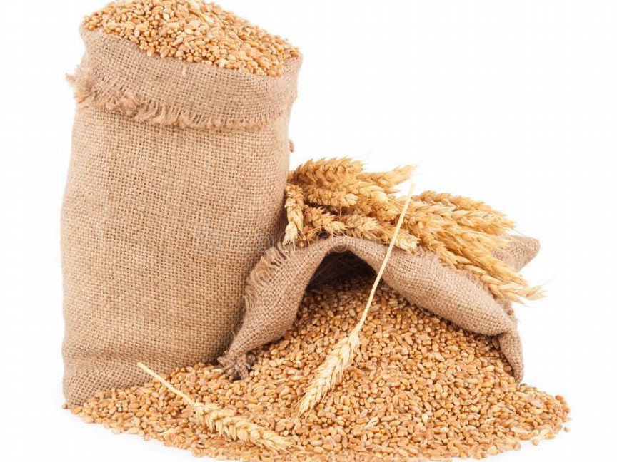 Зерно фуражное в мешках