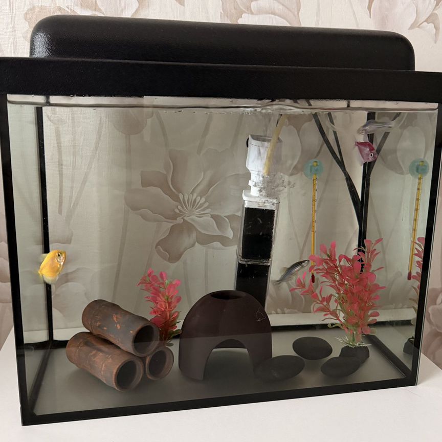 Аквариум 20 л с рыбками все вместе