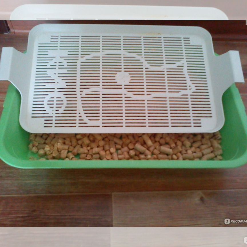 Кошачий лоток