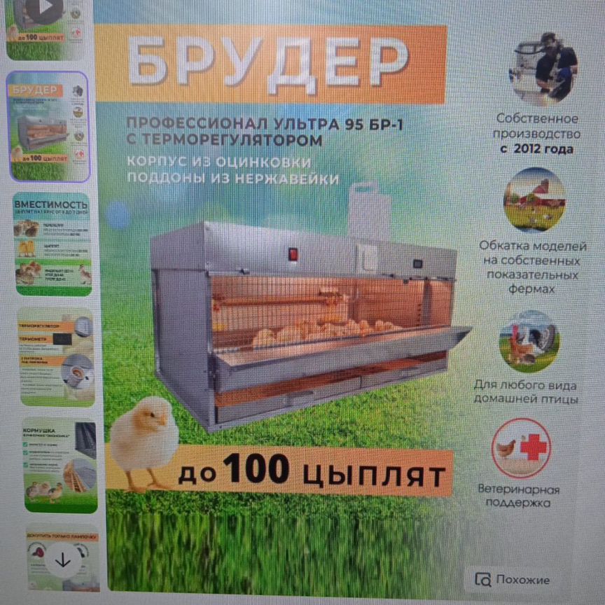 Брудер