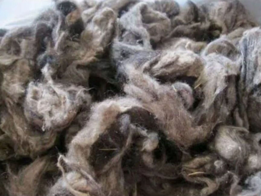 Шерсть овечья для Ольги