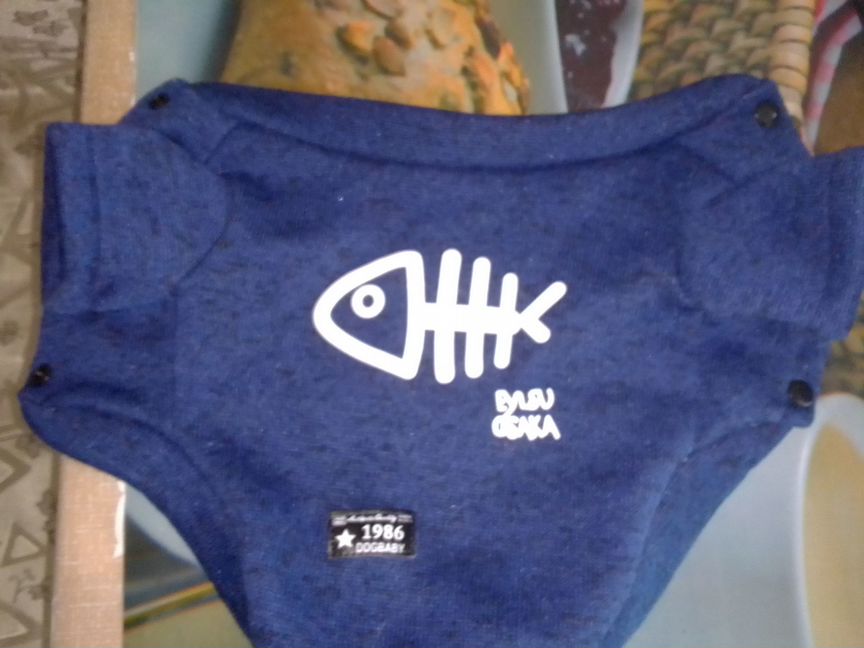 Одежда для кошки
