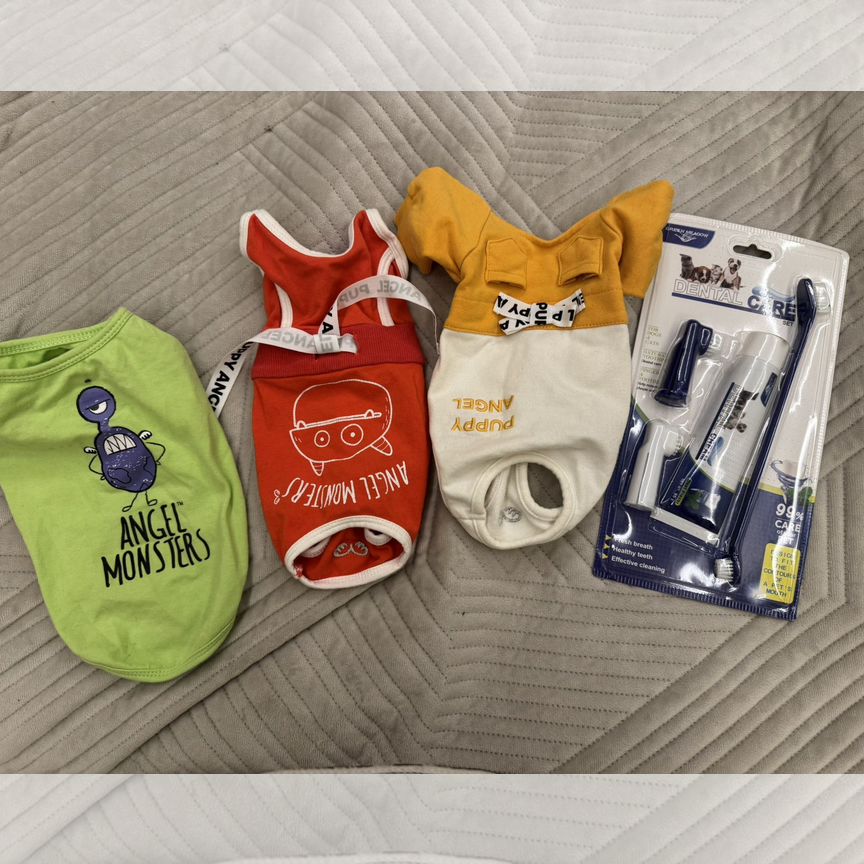 Одежда для собак и набор для зубов