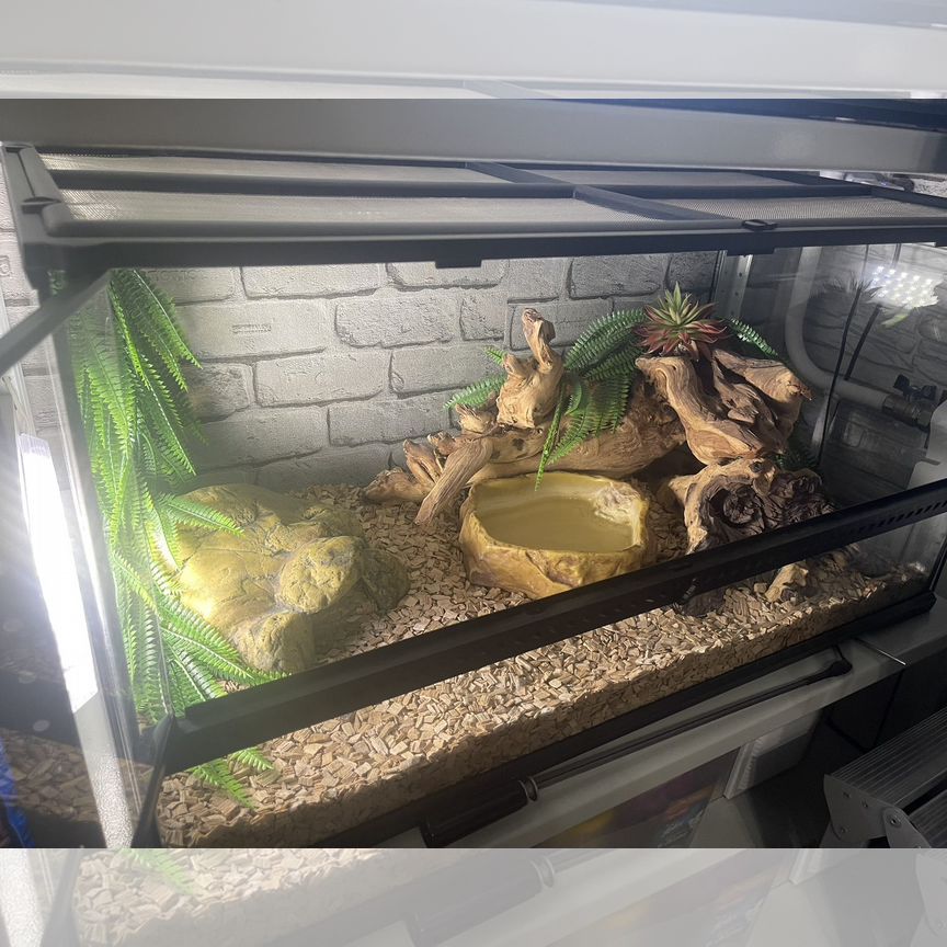 Террариум exoterra