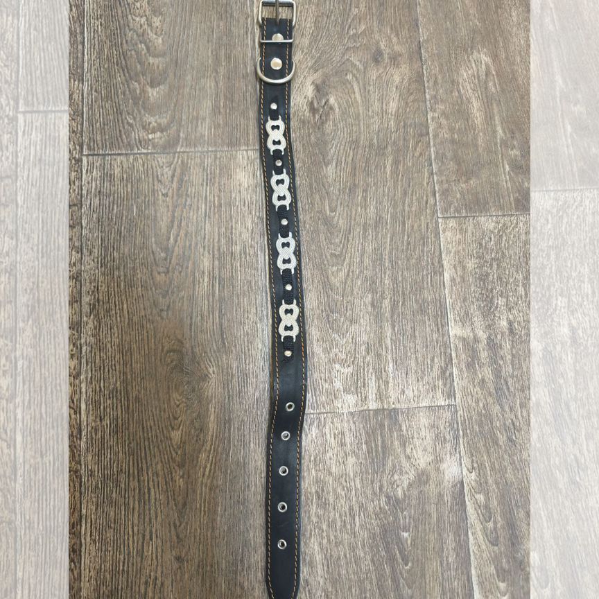 Ошейник для собак