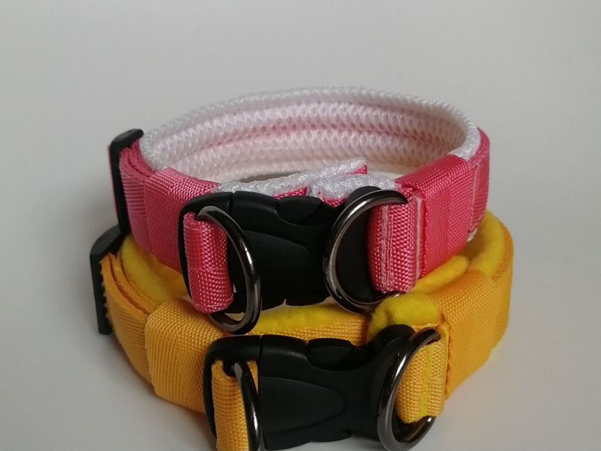 Ошейник для собак