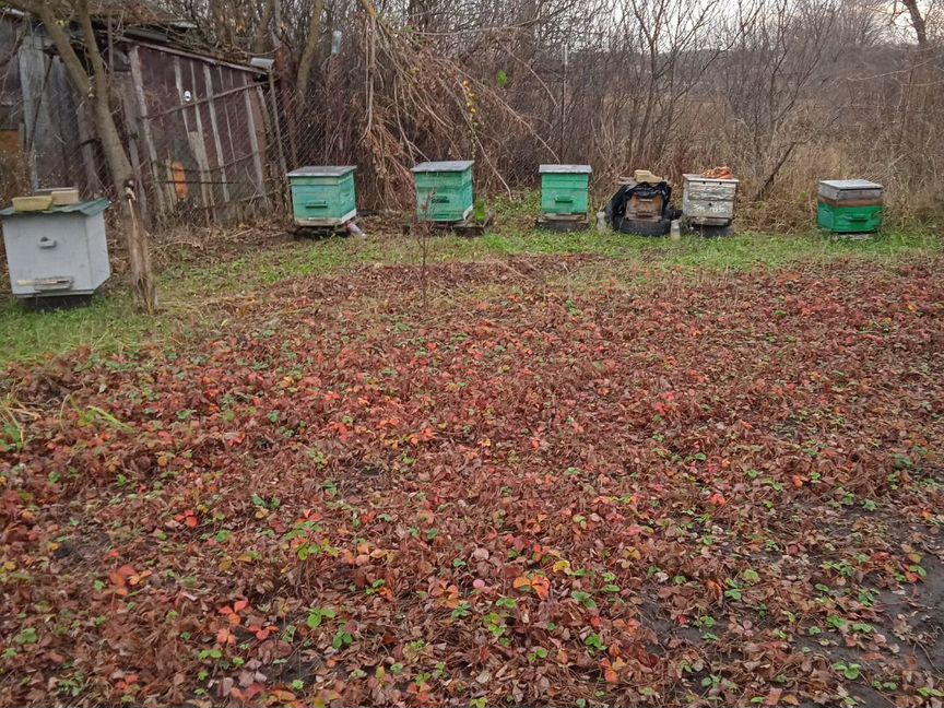 Продаю ульи системы роты суши рамки корпуса