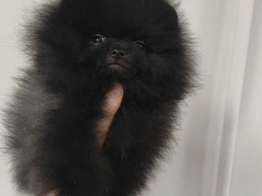 Мальчик мини с документами