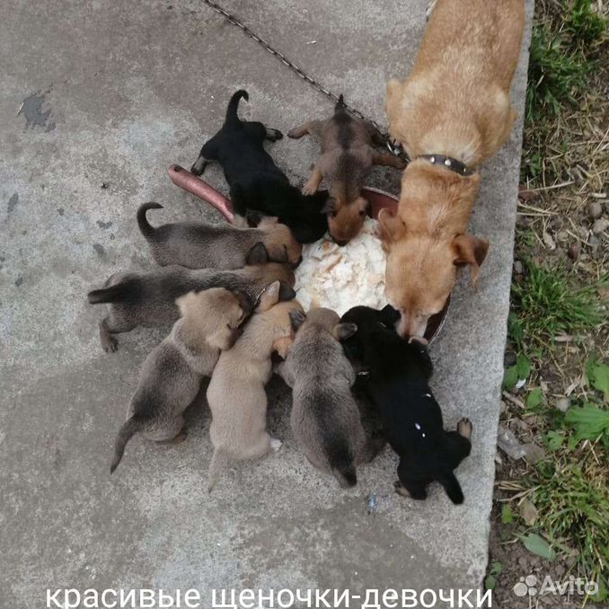Просто красивые