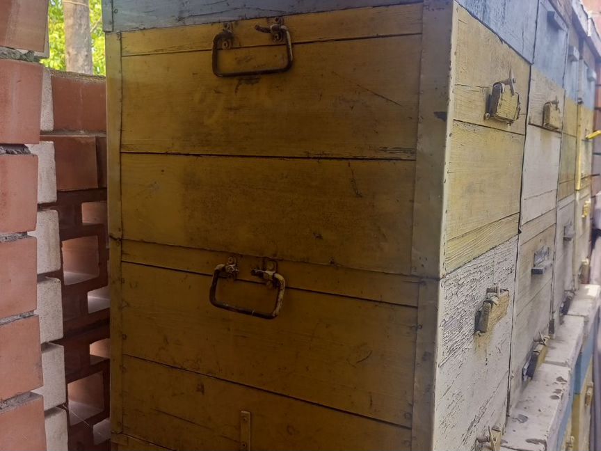 Улей 12 рамочный 2 корпуса с магазином