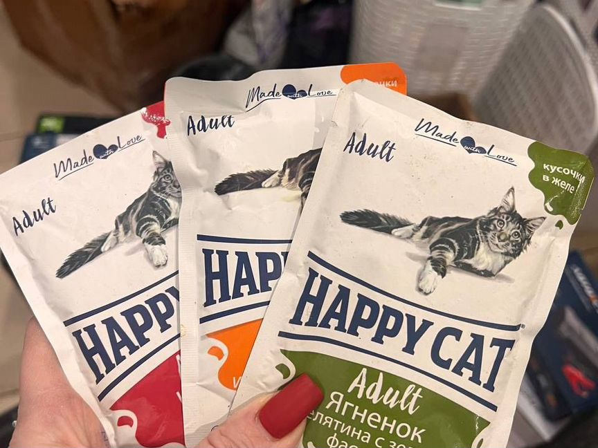 Влажный корм для кошек