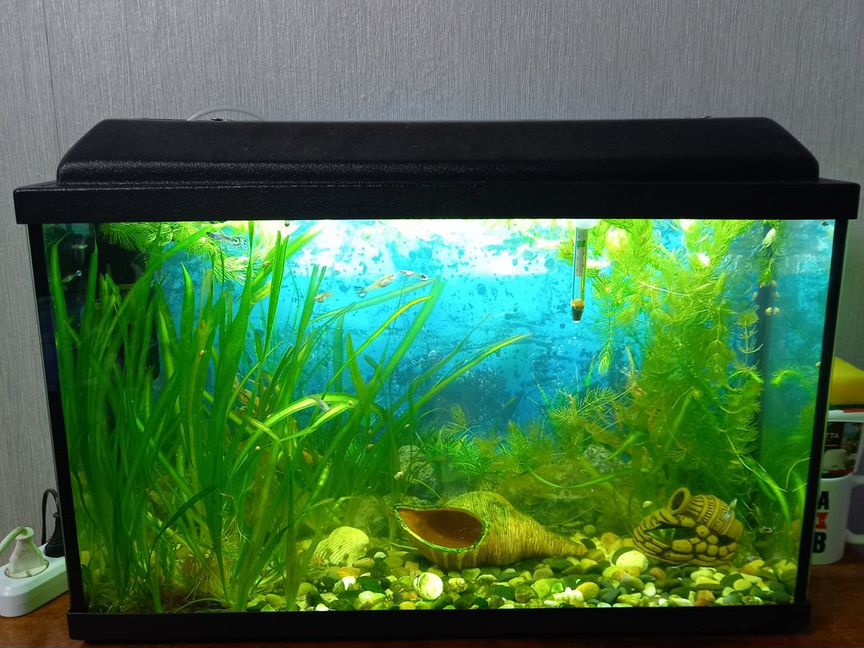 Аквариум 49 литров